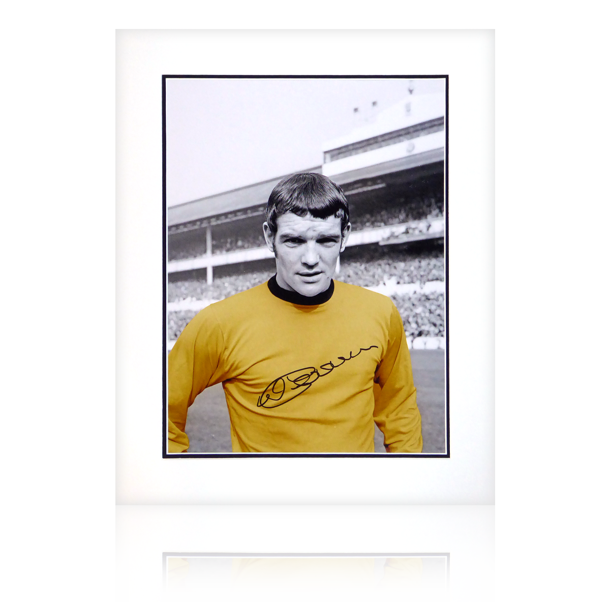 Hugh Curran Signed Wolves Mount – The Fan Cave Memorabilia
